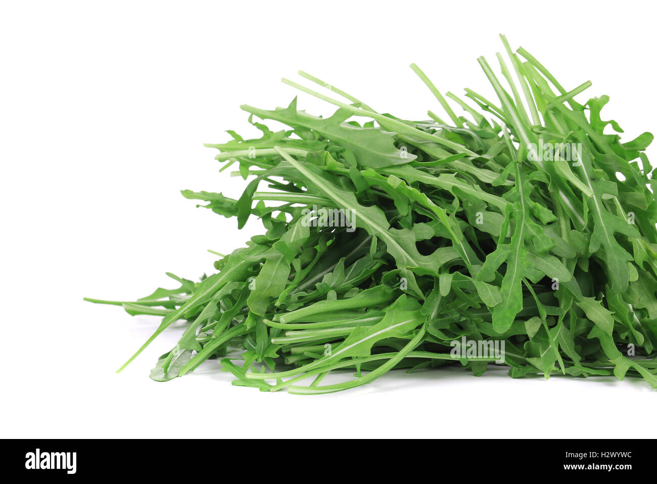 Ruccola leaves in closeup Stock Photo - Alamy