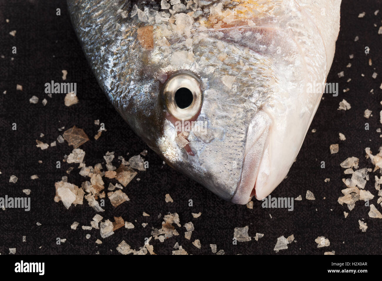 Fish head detail hi-res stock photography and images - Alamy
