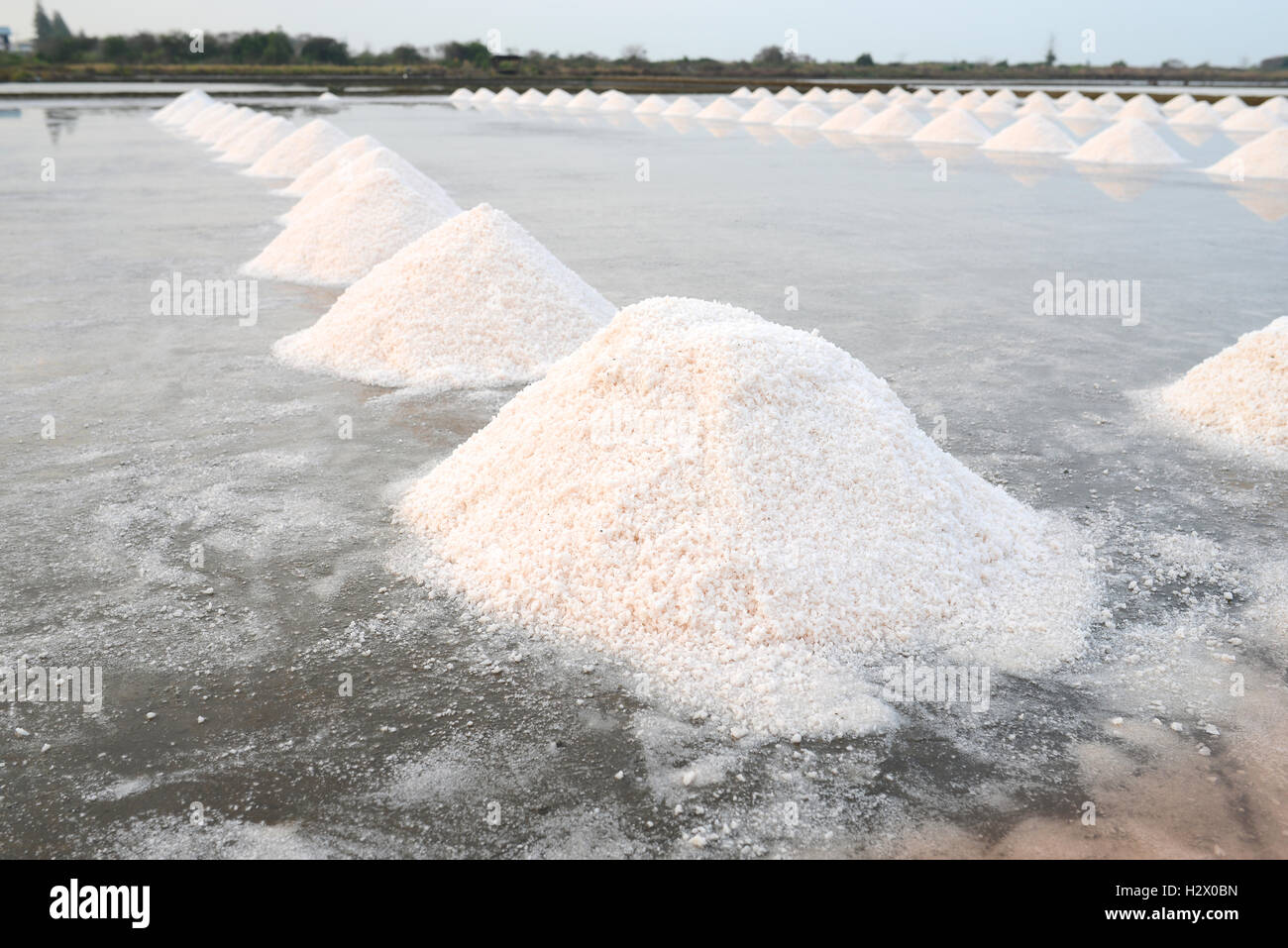 Saline field hi-res stock photography and images - Alamy