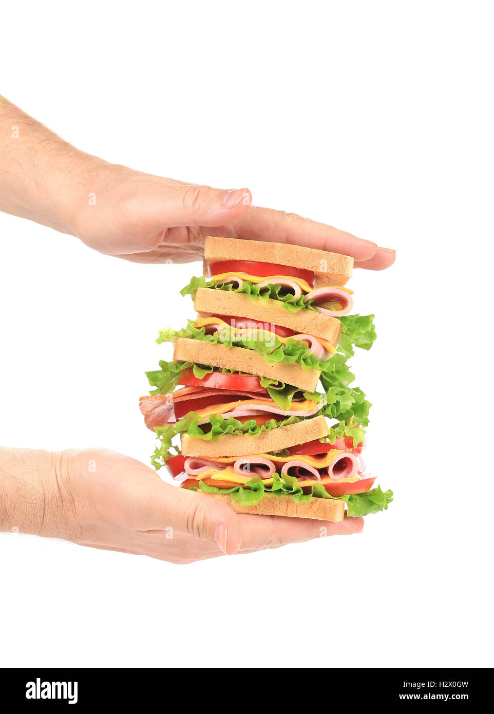 Hands holding tasty sandwich Stock Photo - Alamy
