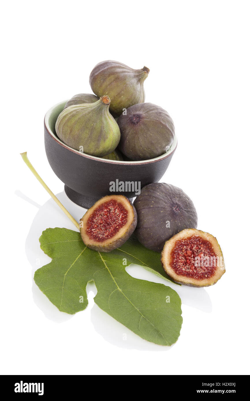 Fig leaf cross section Cut Out Stock Images & Pictures - Alamy
