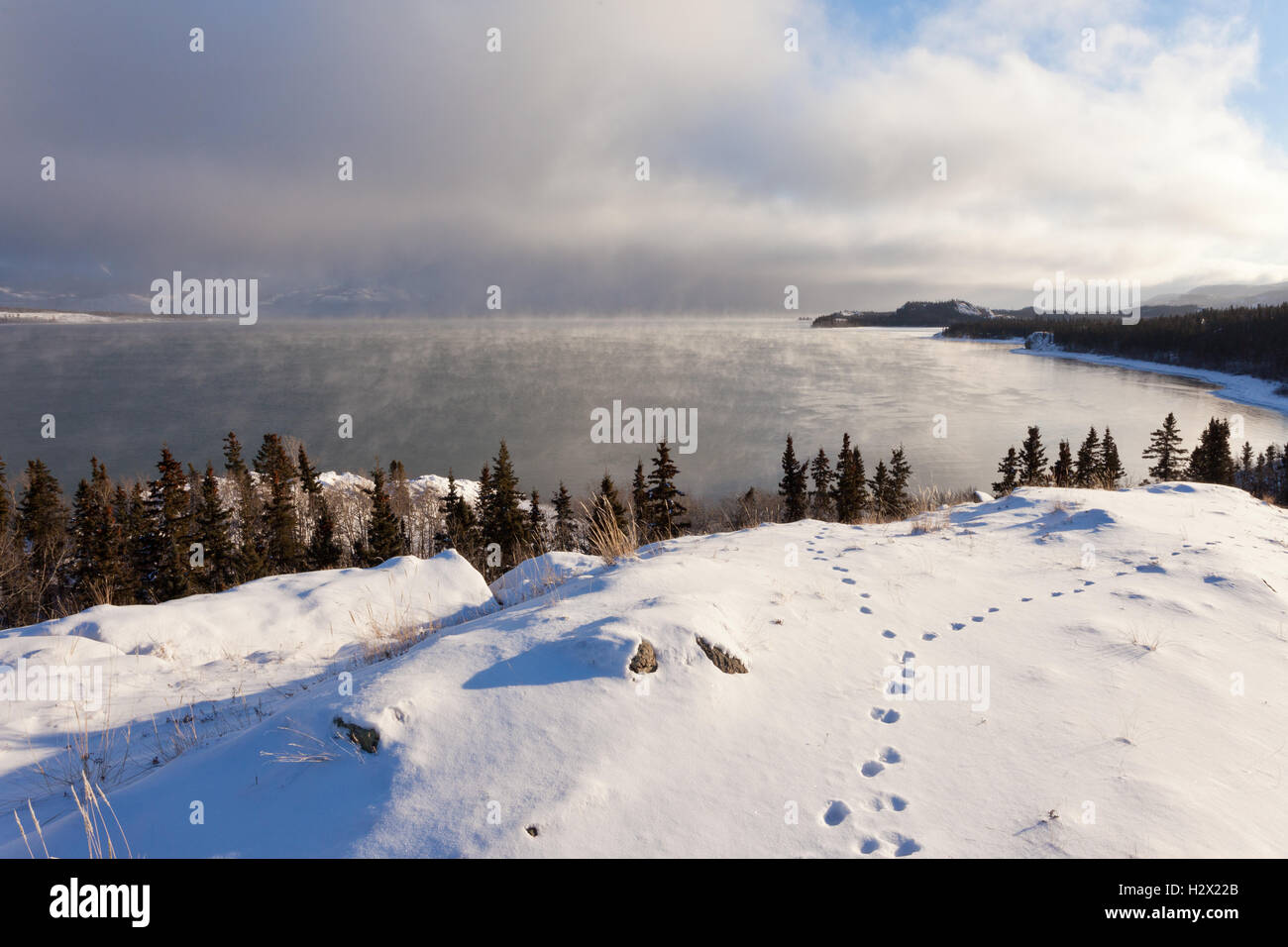 Lake Laberge Yukon ice fogs before freezing over Stock Photo - Alamy