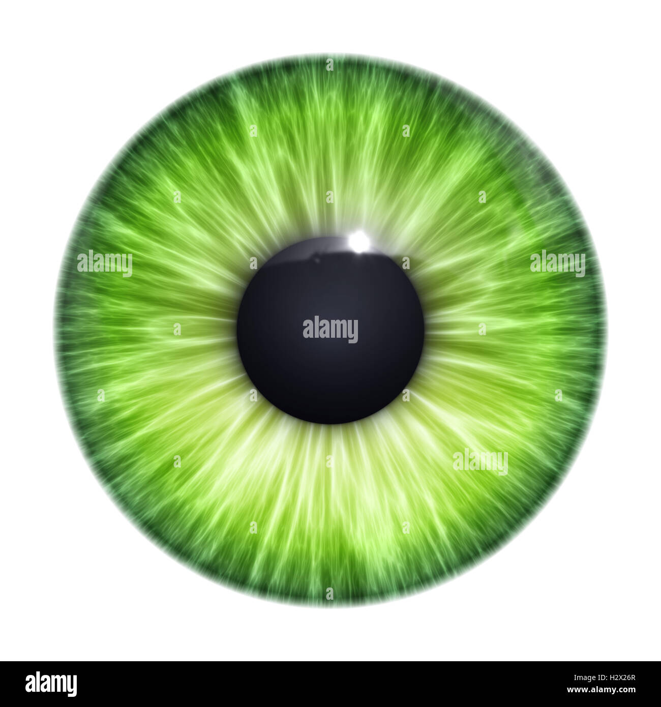 green eye texture Stock Photo - Alamy