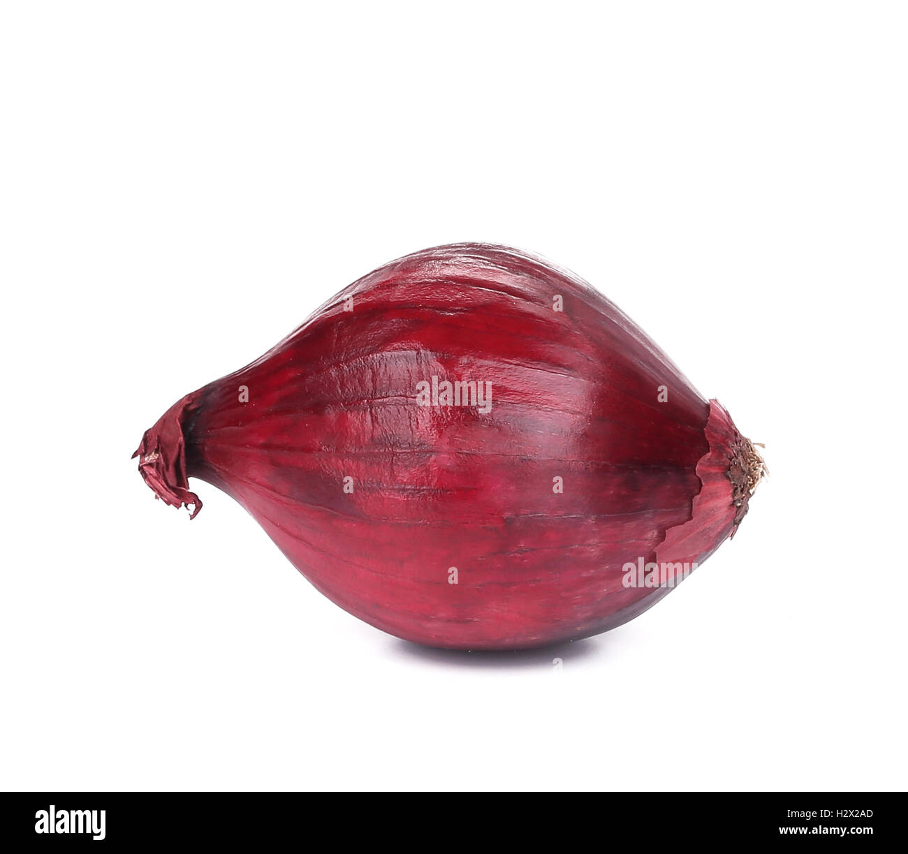 One red onion Stock Photo - Alamy