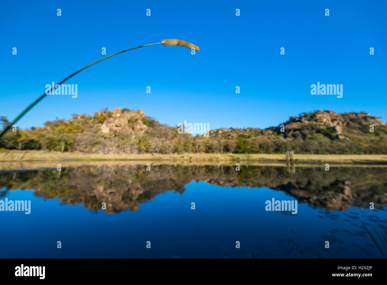 Reeds cave hi-res stock photography and images - Alamy