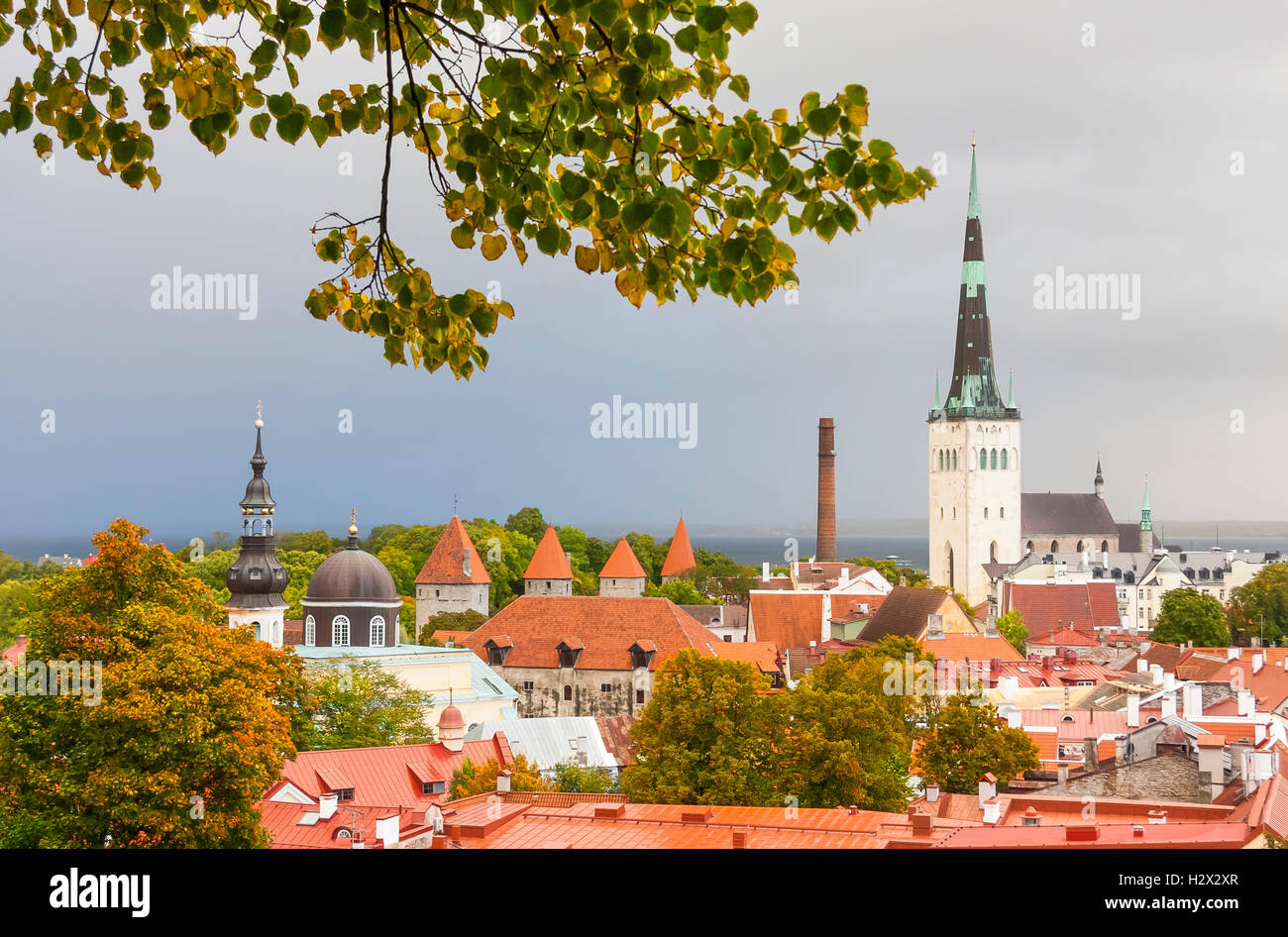 View to the old town of Tallinn, Estonia in autumn colors Stock Photo ...