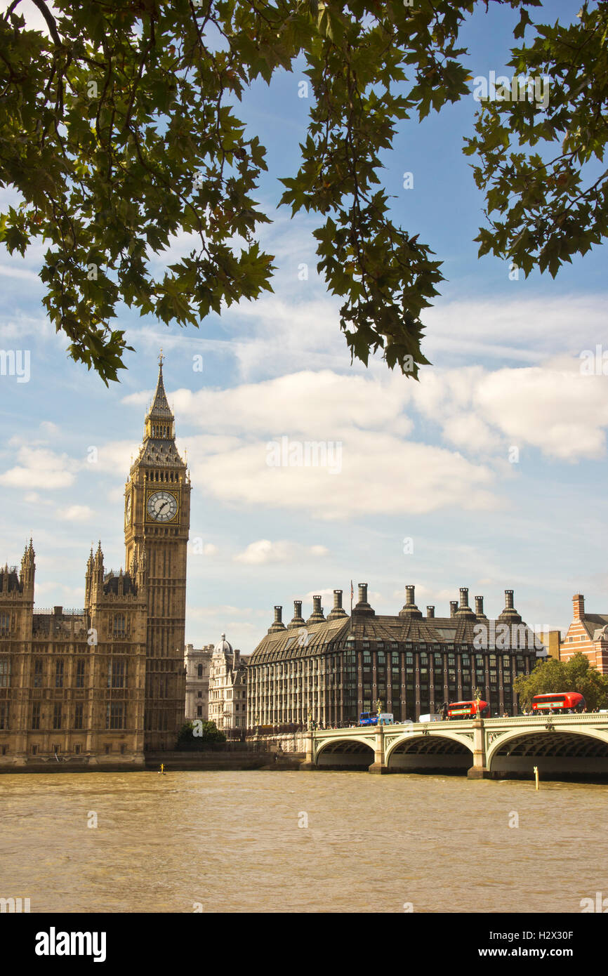Big Ben and parliament building in Portrait mode / Wide angle shoot ...