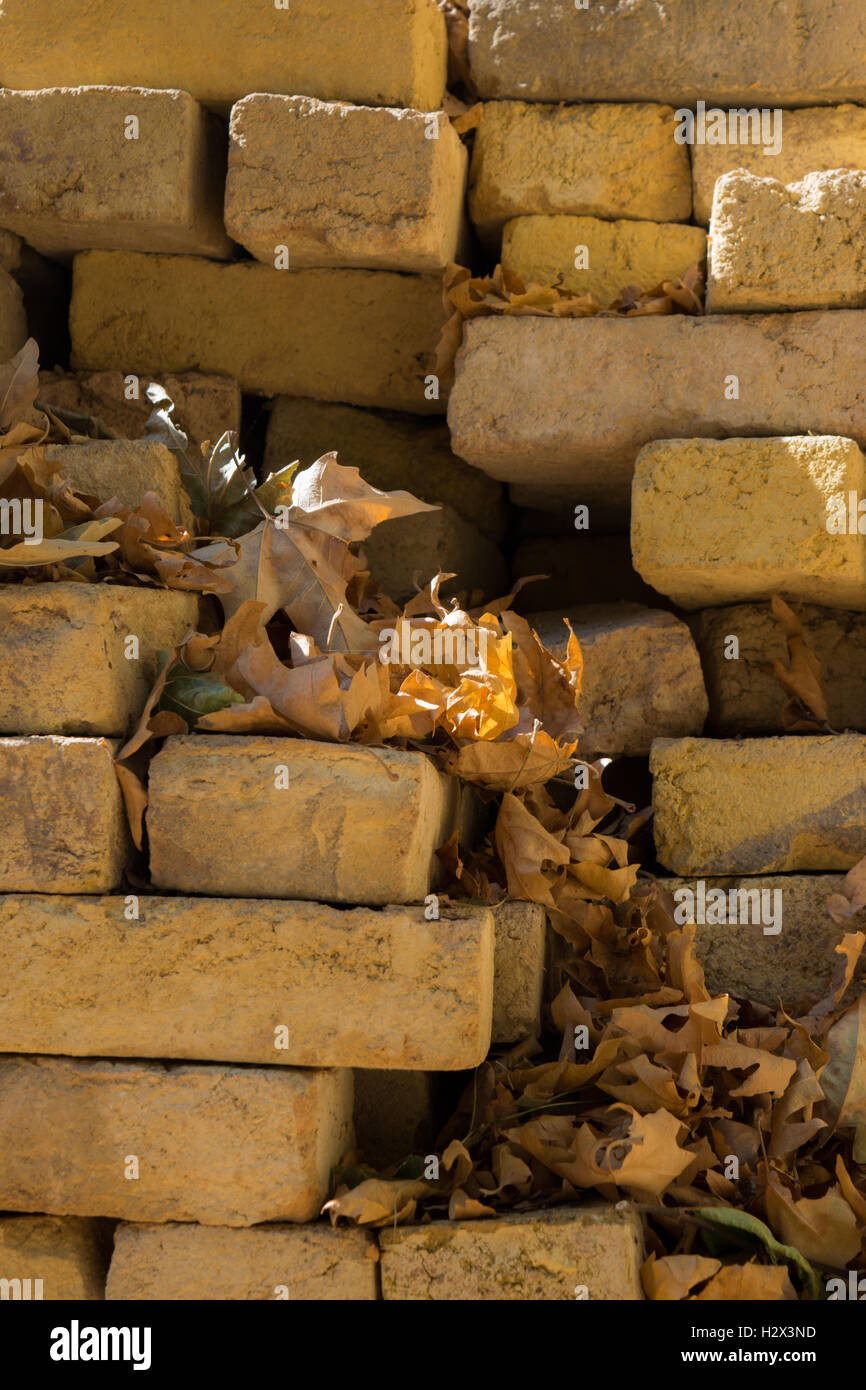 Leaves bricks hi-res stock photography and images - Alamy
