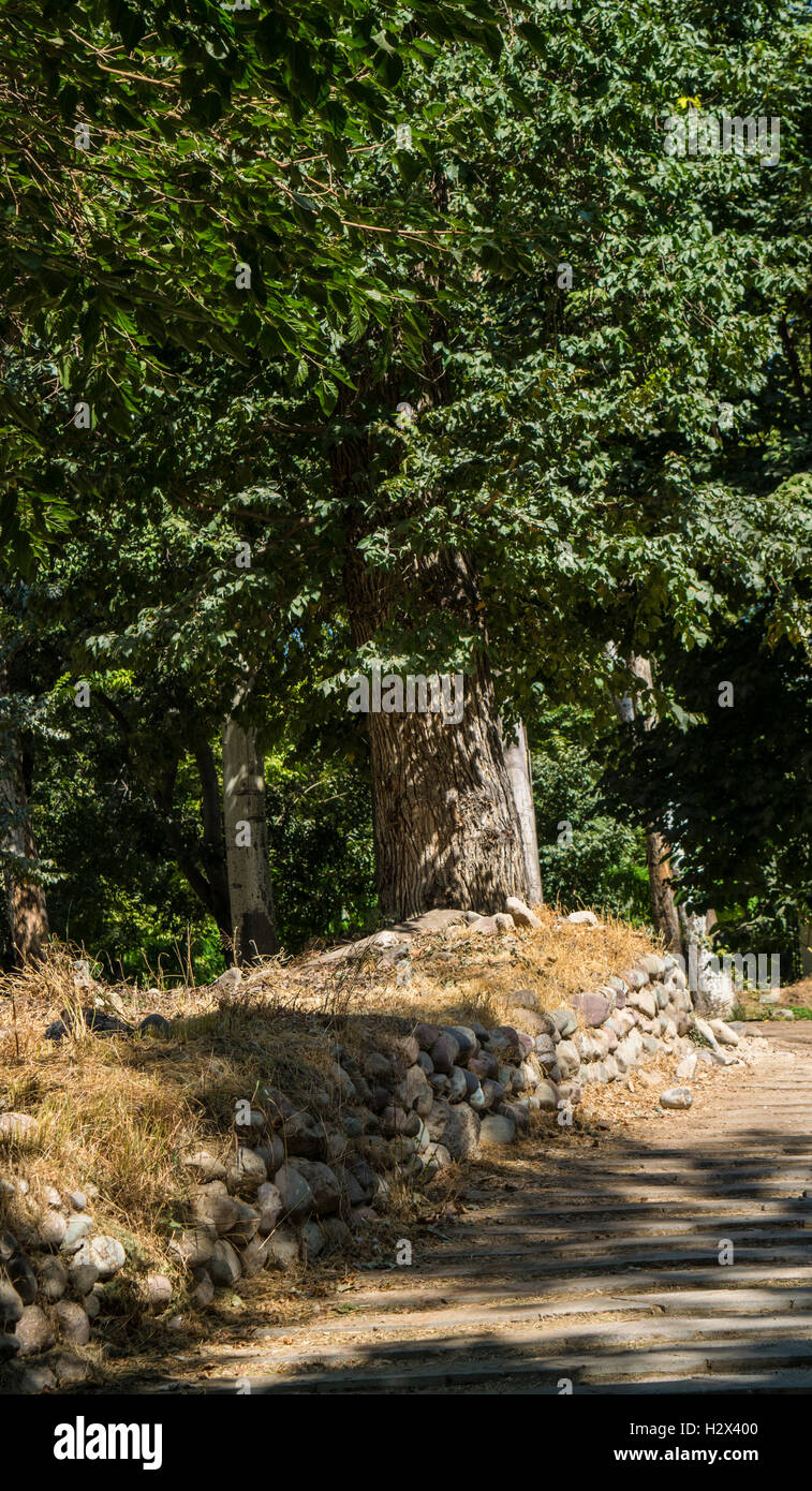 Old path hi-res stock photography and images - Alamy