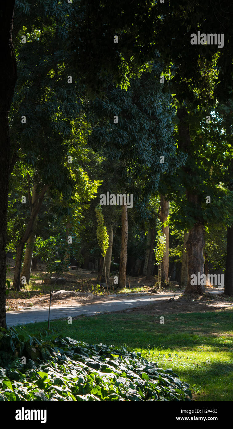 there were light Stock Photo - Alamy