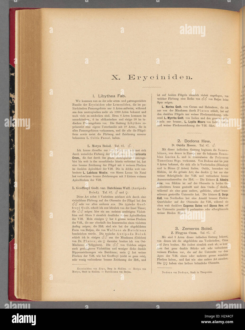 This text presents a study of exotic butterflies, describing their ...