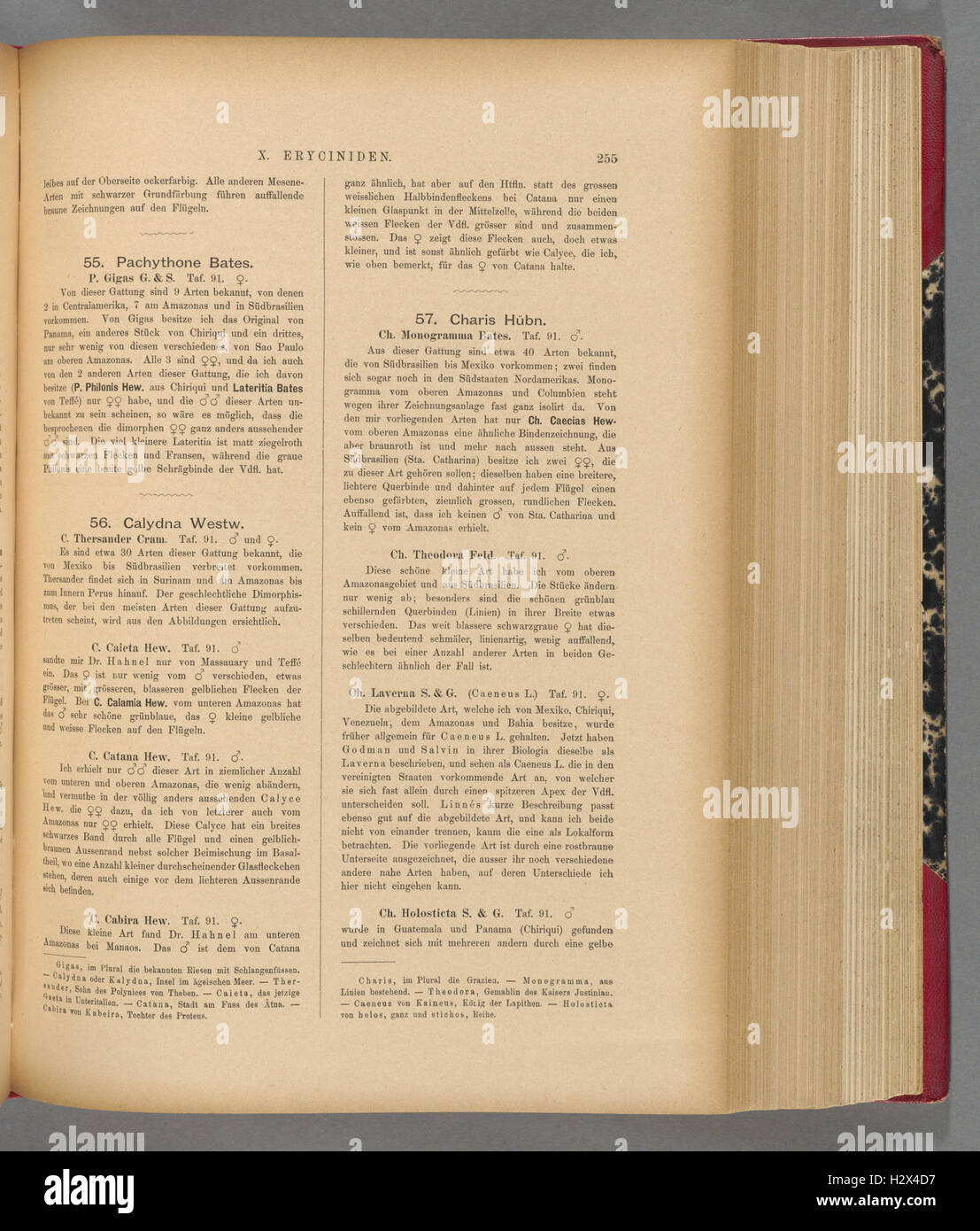 This work features a detailed examination of exotic butterflies, with a ...