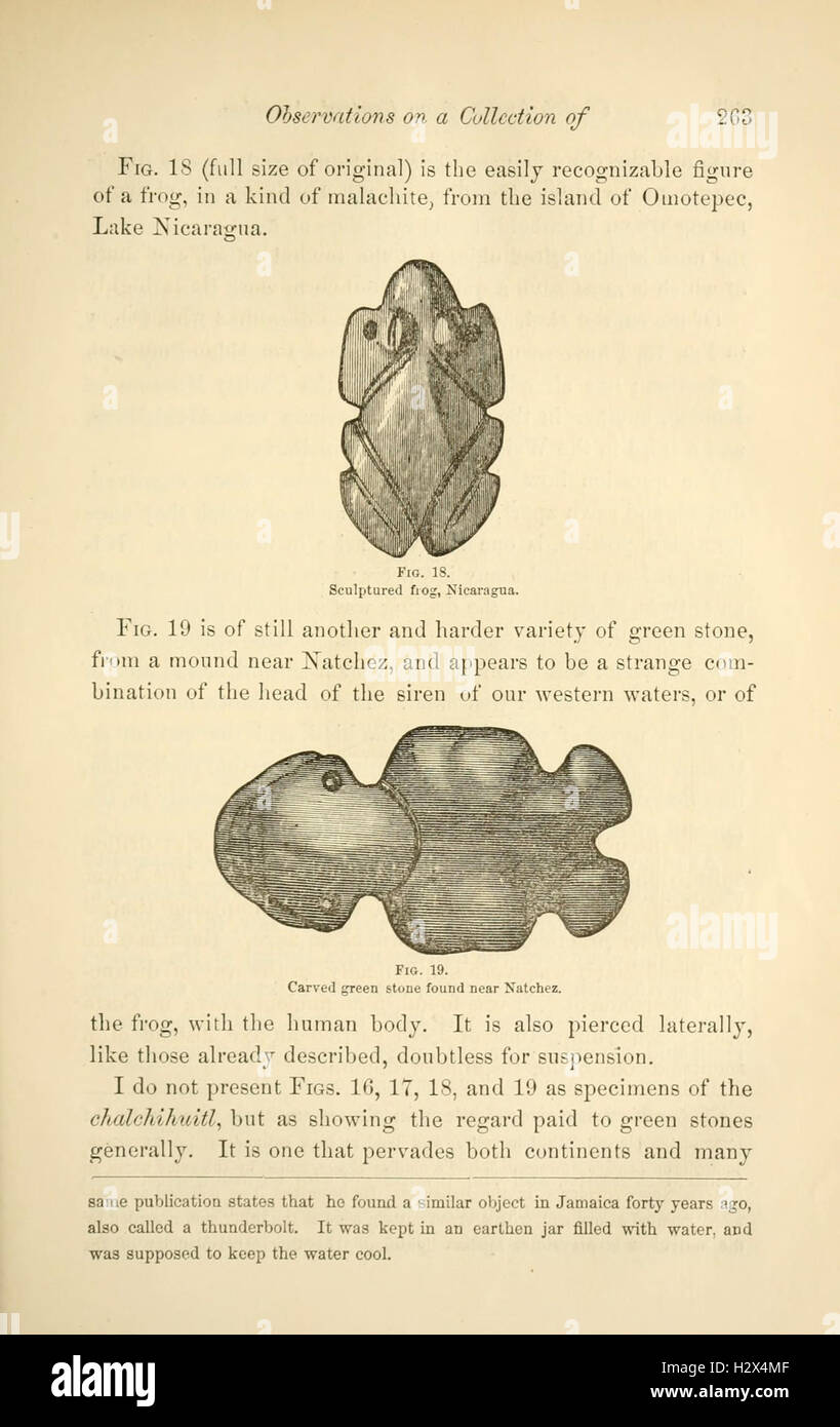 Lyceum of natural history hi-res stock photography and images - Alamy