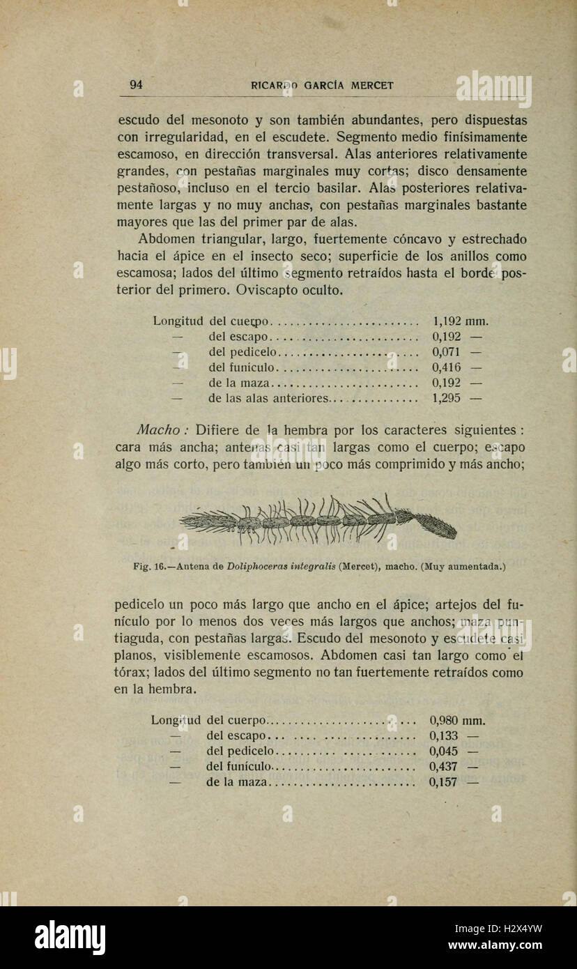 'Fauna ibérica' explores the diverse wildlife of the Iberian Peninsula ...