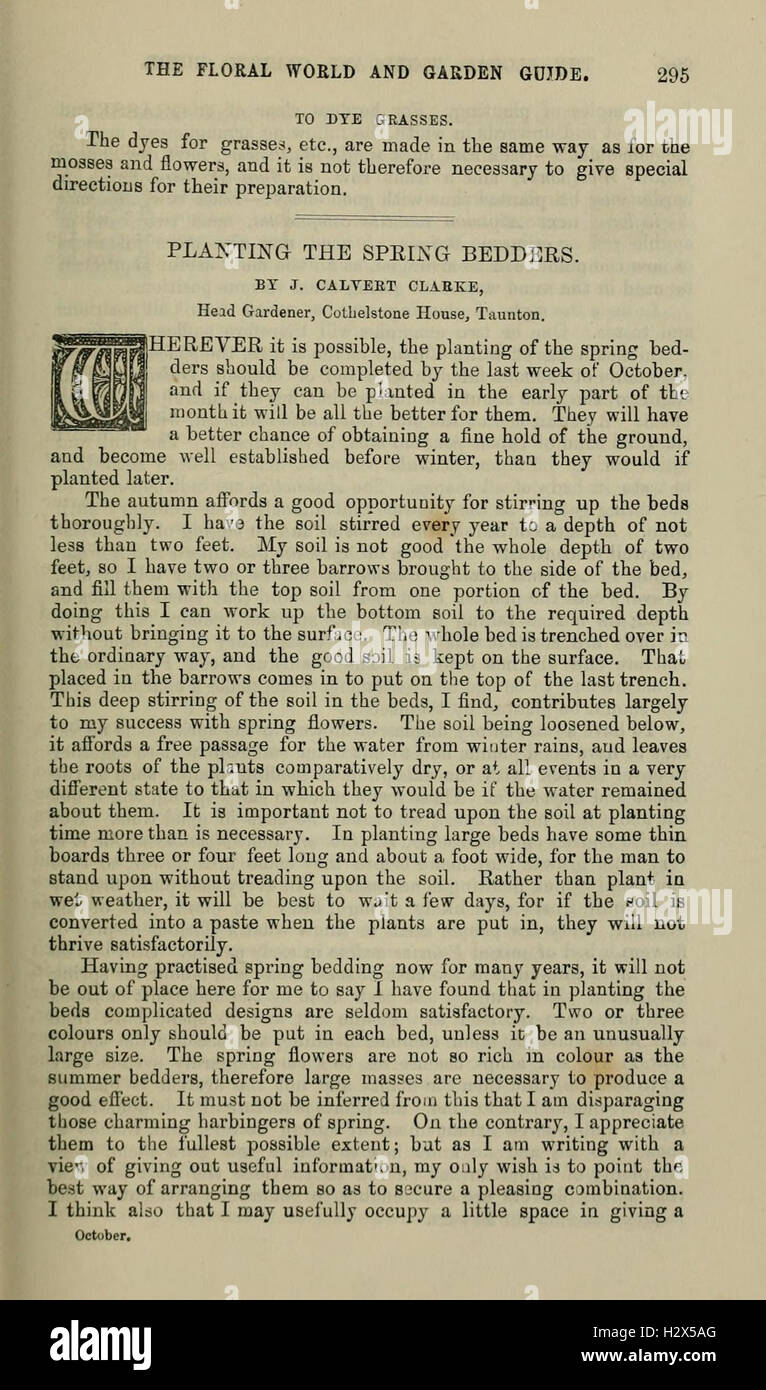 Ornate floral guide page hi-res stock photography and images - Alamy