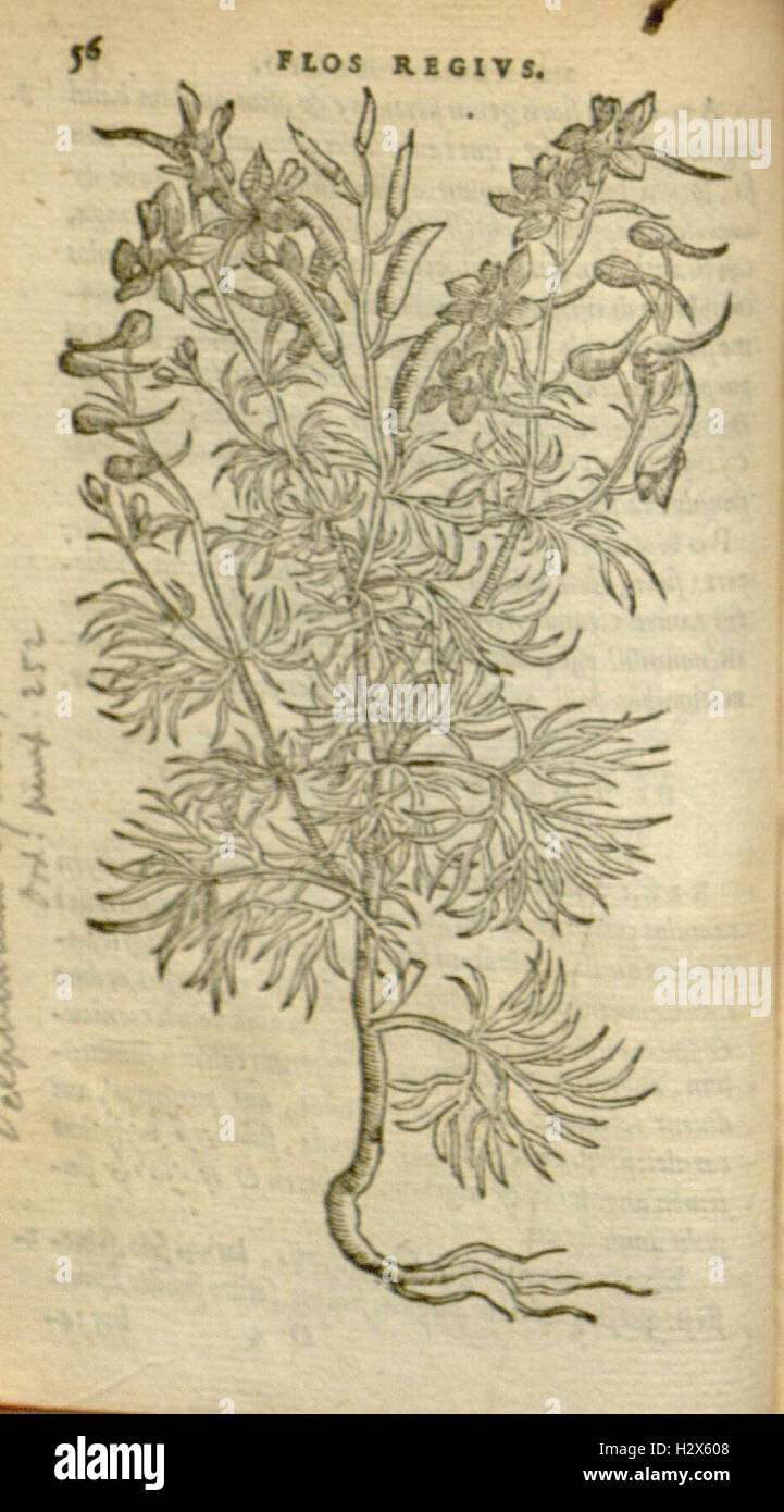 This work covers the history and classification of various fragrant ...