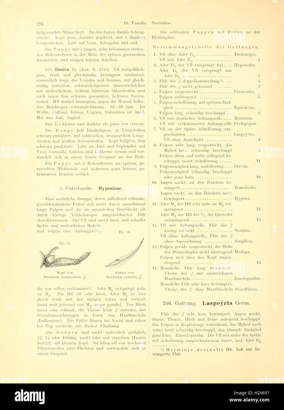 This work, a guide to butterflies, offers detailed illustrations and ...