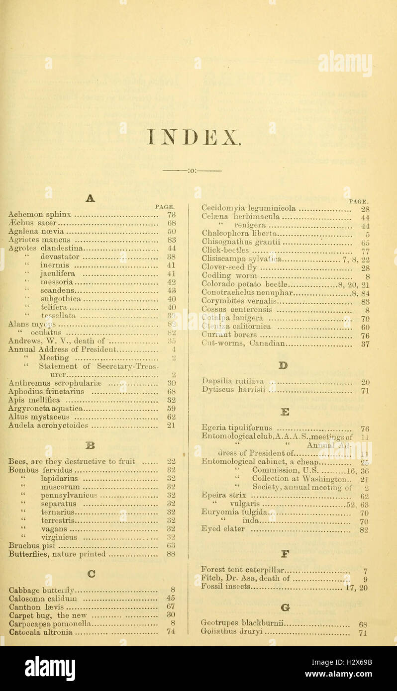 This annual report provides detailed accounts of activities, findings ...