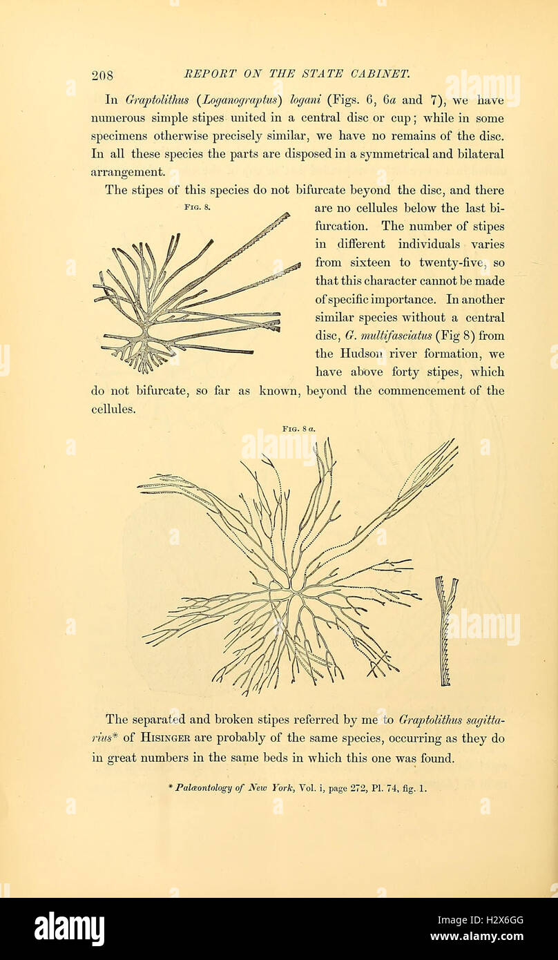 This annual report presents the status and progress of the State ...