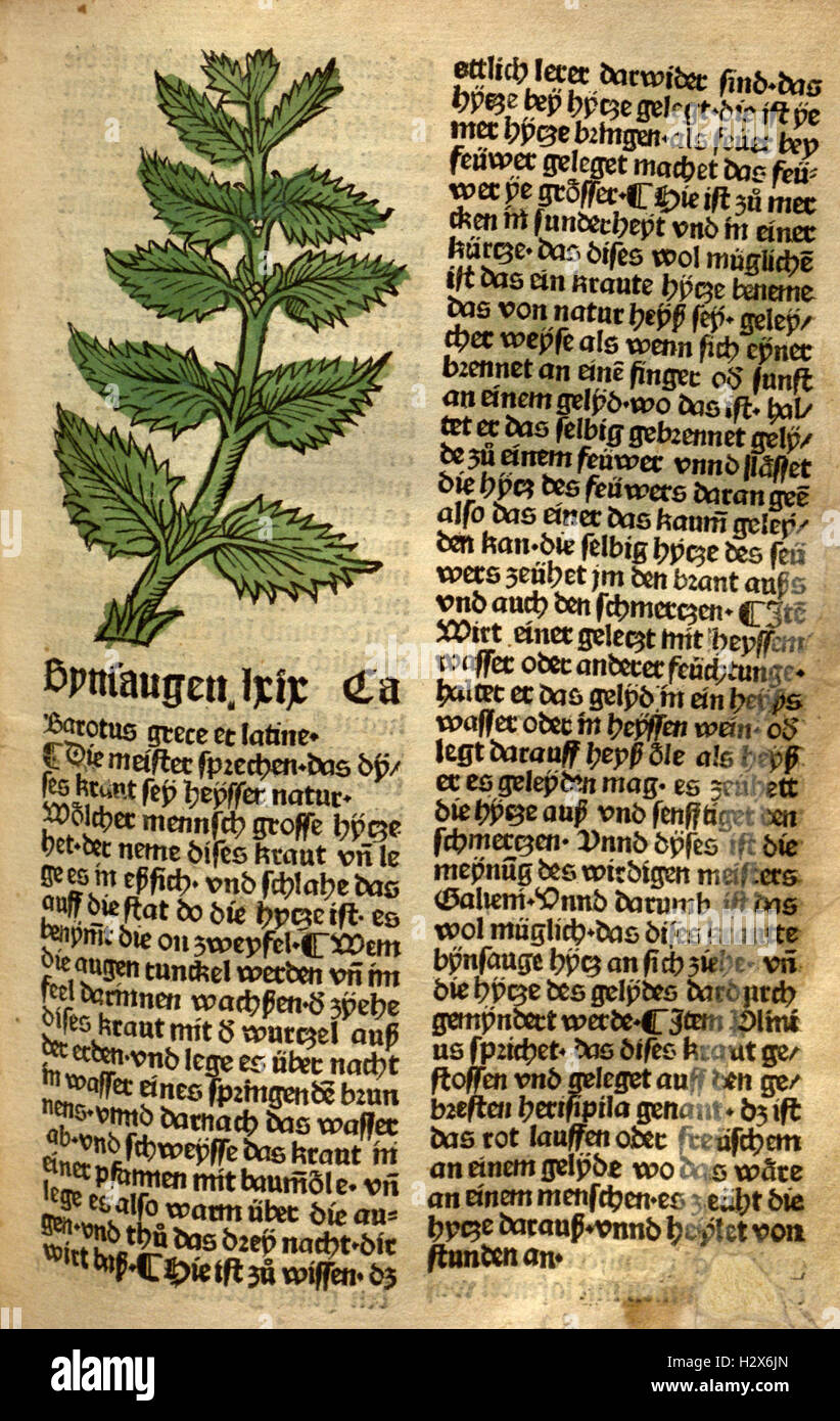 A German text on gardening for health, focusing on plants and herbs ...