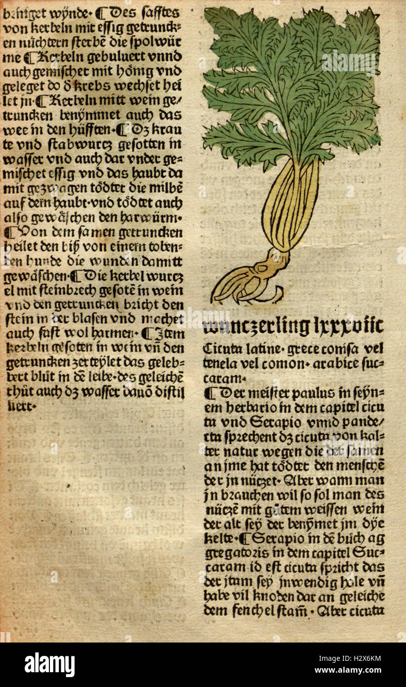 This German work offers a detailed guide on medicinal plants, focusing ...