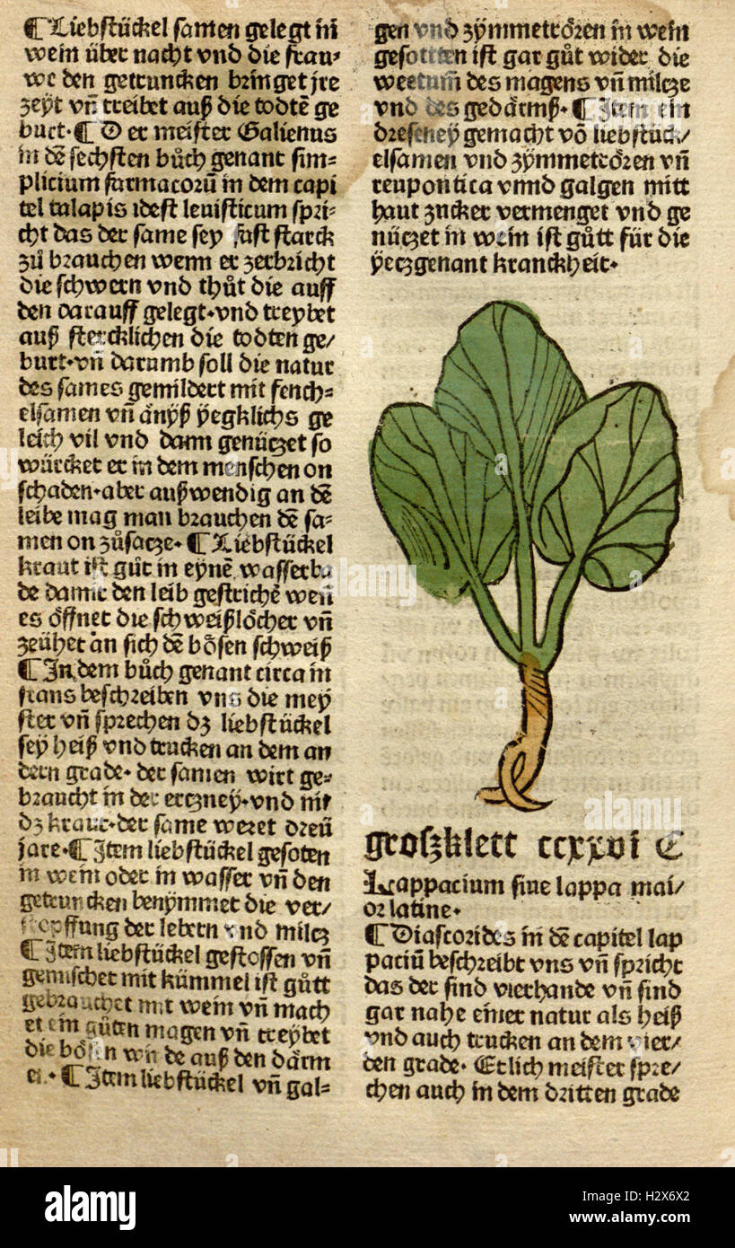 'Gart der Gesundheit' is a health-related text offering a guide to ...