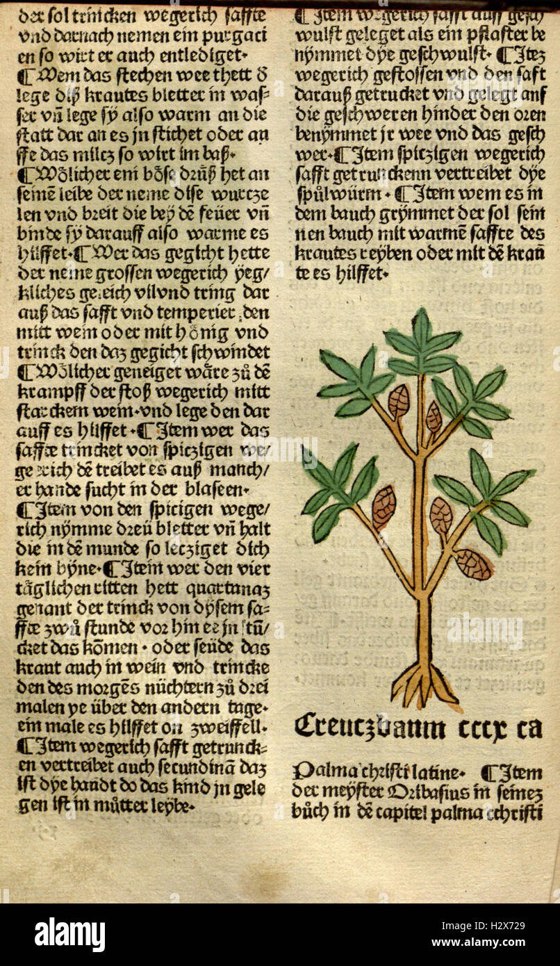 A German-language work titled 'Garden of Health', exploring medicinal ...