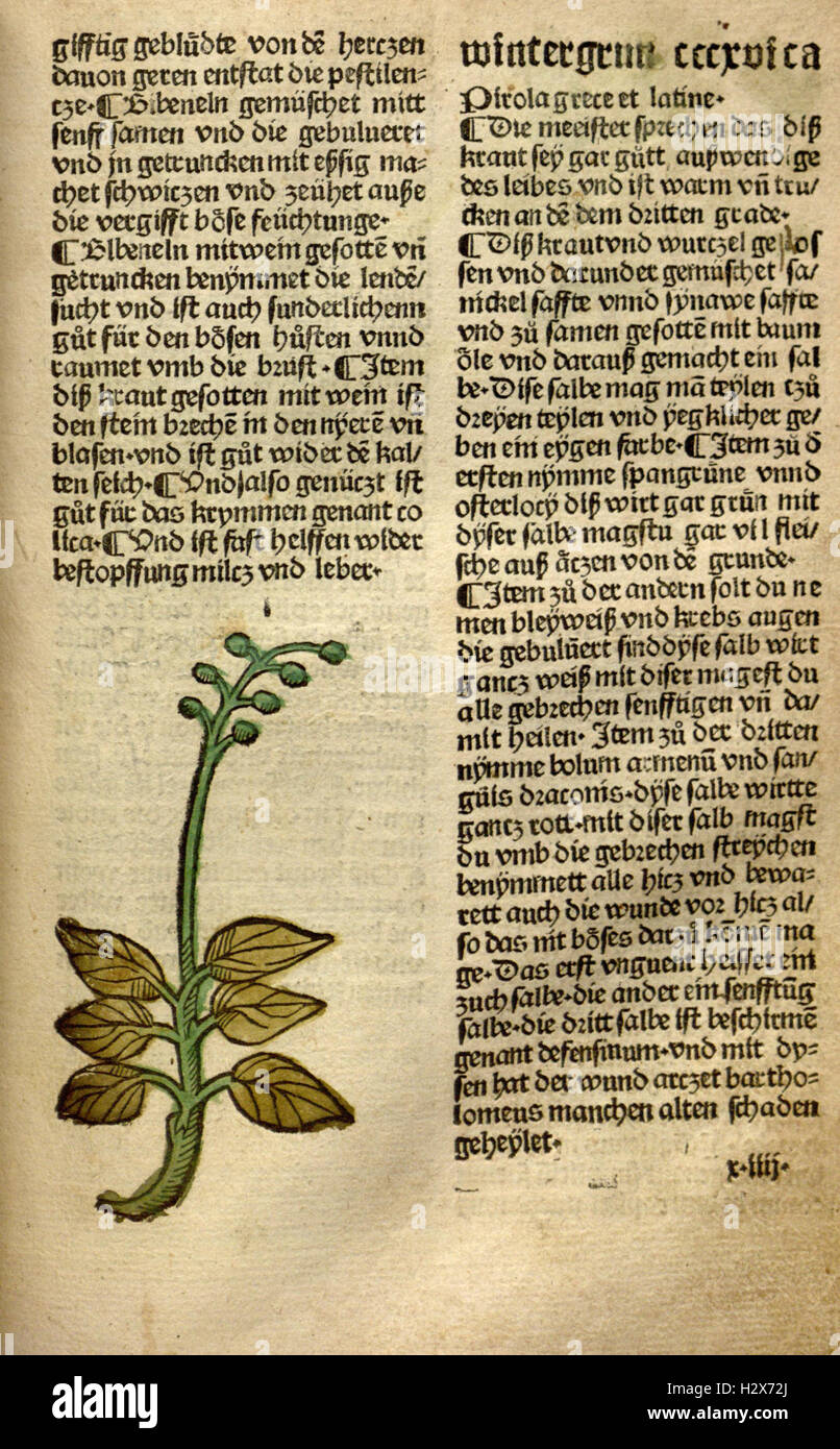 Health in the medieval period hi-res stock photography and images - Alamy