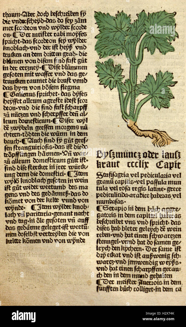 Gart der Gesundheit (Page (394)) BHL62 Stock Photo - Alamy Gart der Gesundheit (Page (394)) BHL62 Stock Photo - Alamy
