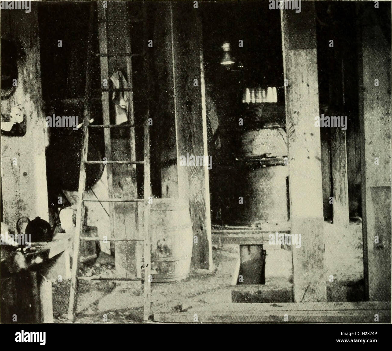This annual report from 1898 details the work and achievements of the ...