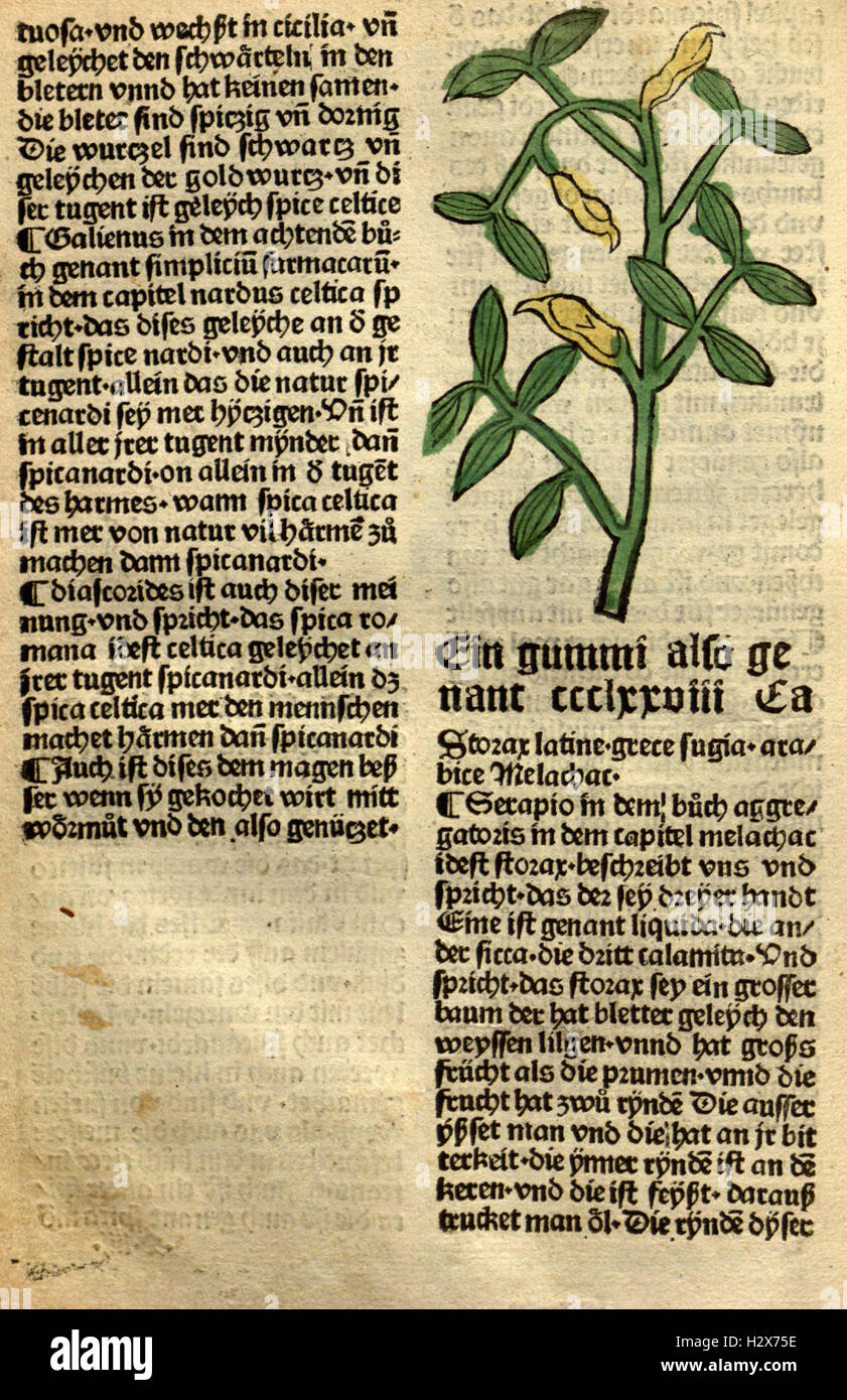 This work, titled 'Gart der Gesundheit,' is a historical guide to ...