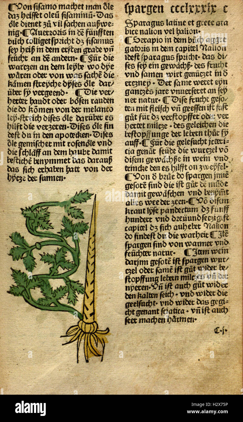 This 16th-century German herbal, 'Garden of Health', focuses on ...