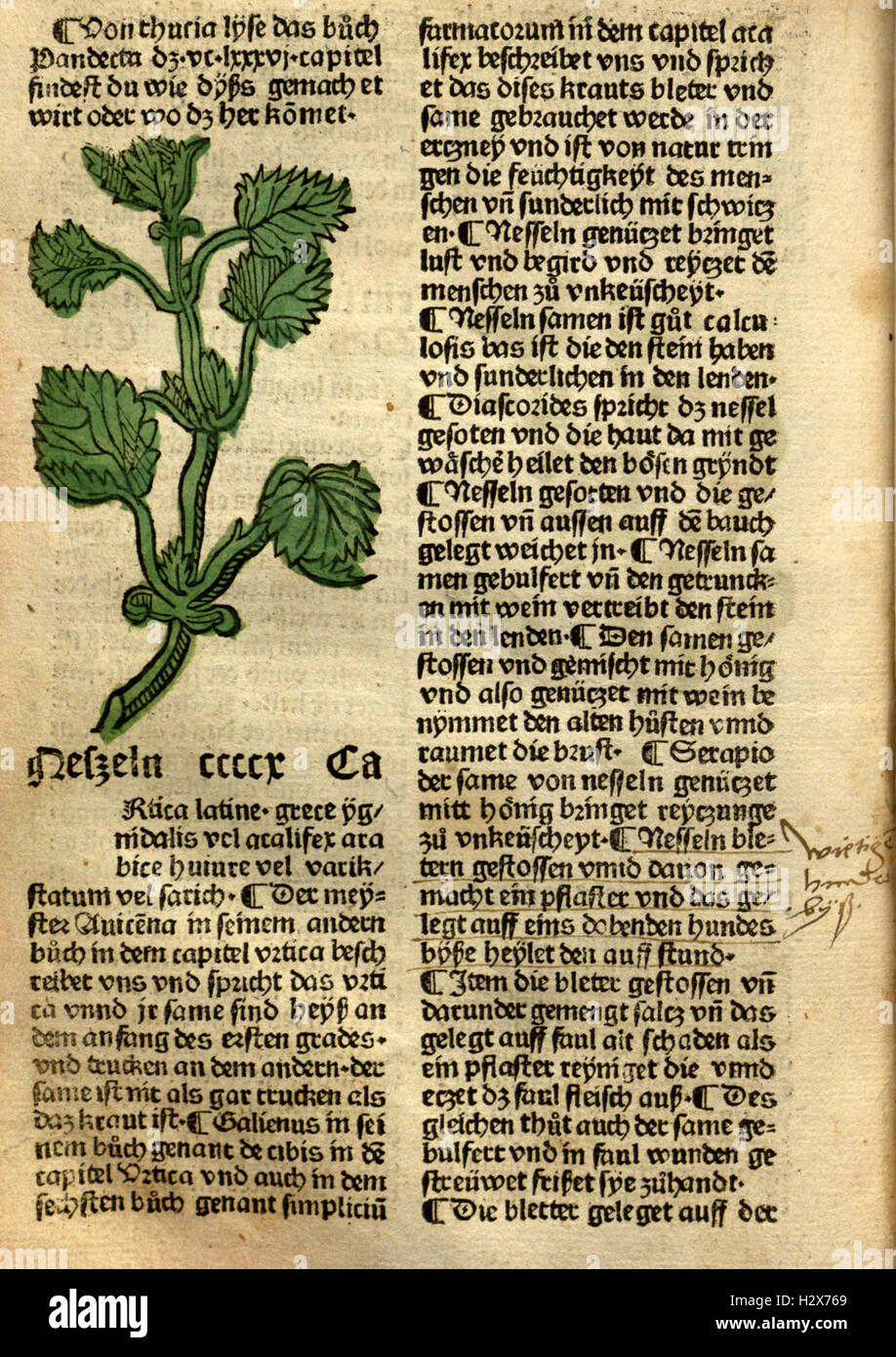 This historical botanical work offers insight into plants used for ...