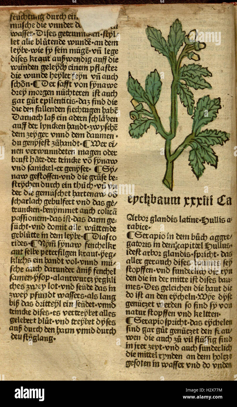 'Gart der Gesundheit' is a botanical and medicinal work detailing ...