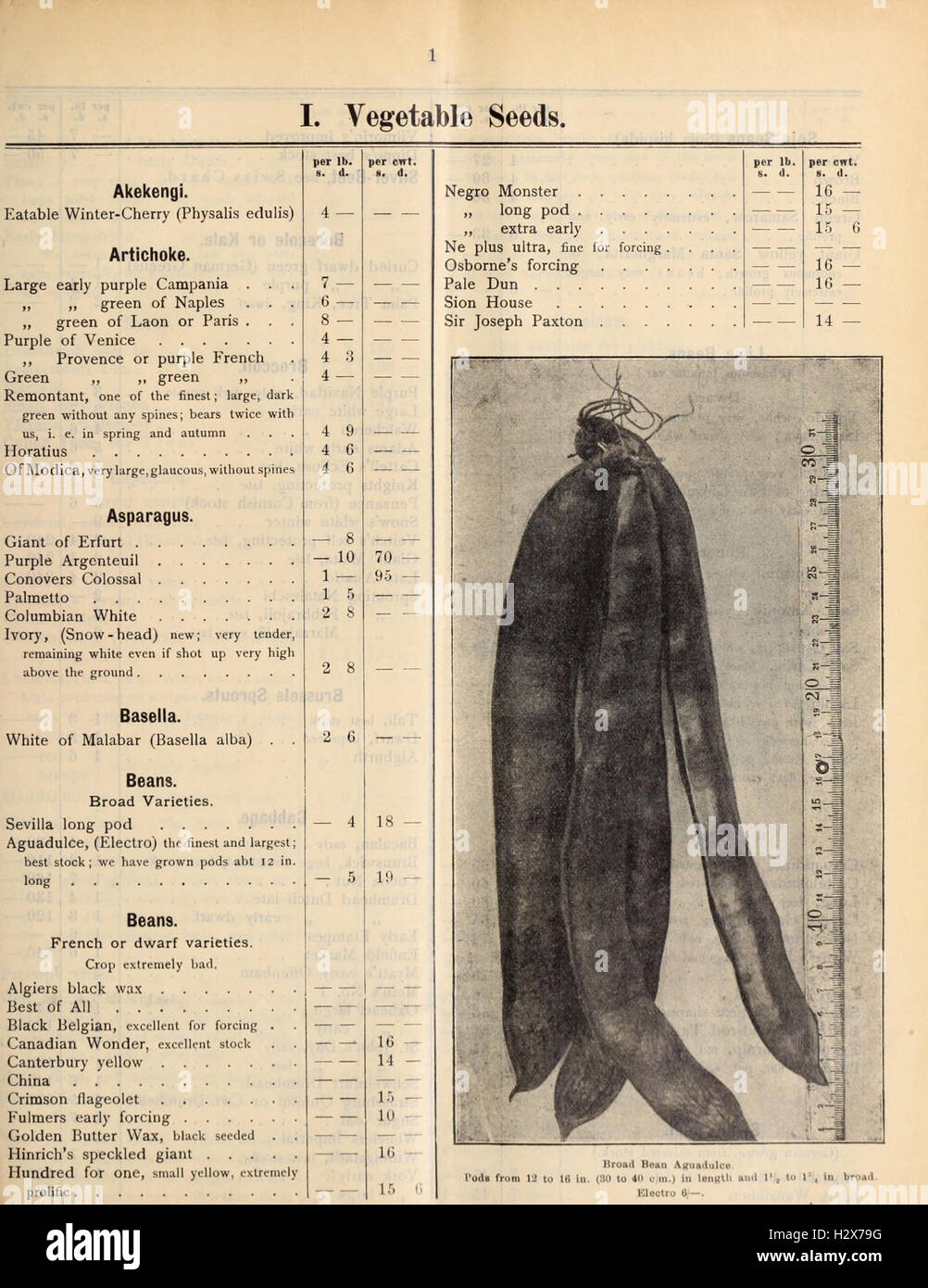 General price list of vegetable, farm, tree, conifer, palm, flower and ...