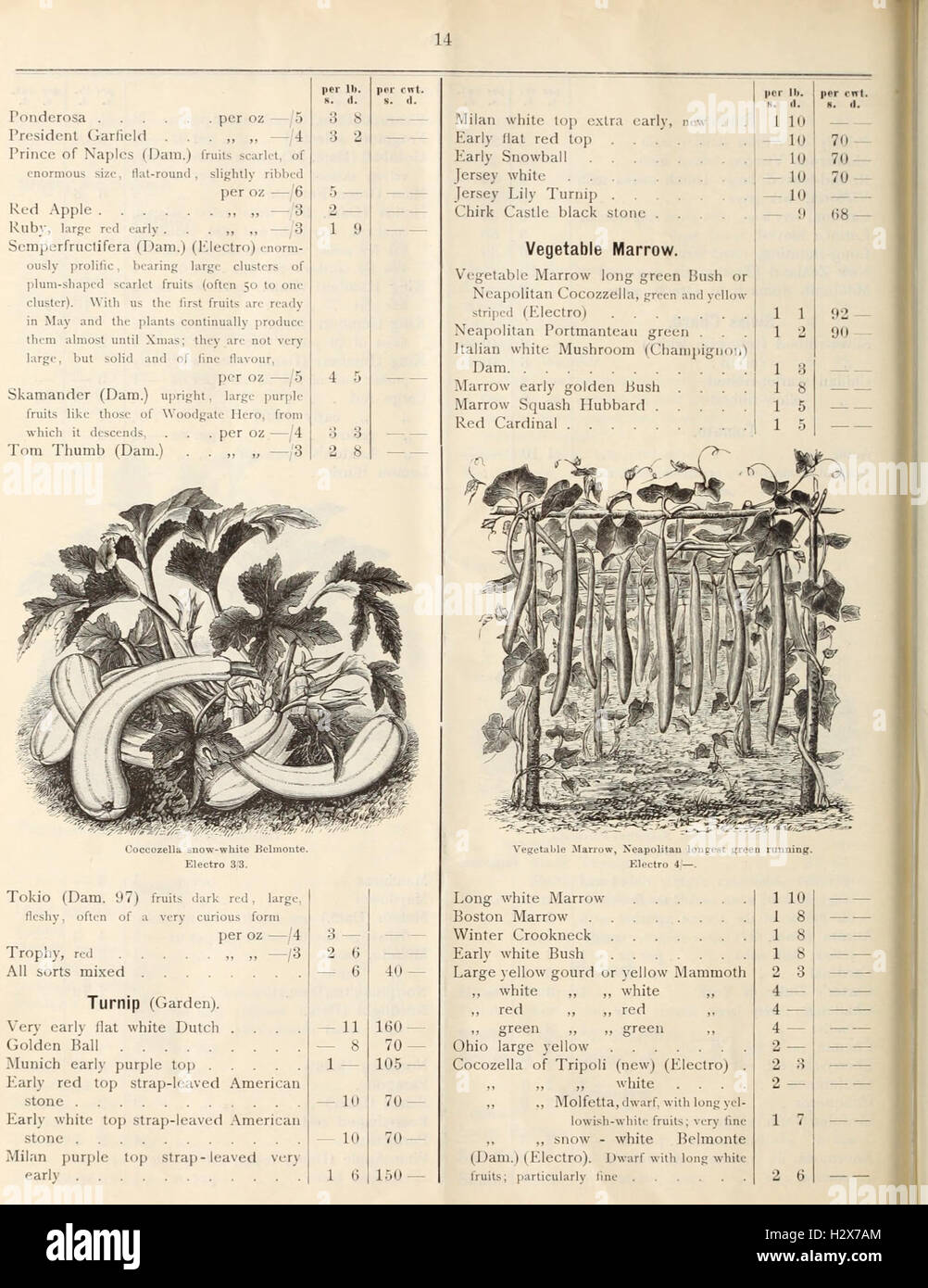 General price list of vegetable, farm, tree, conifer, palm, flower and ...