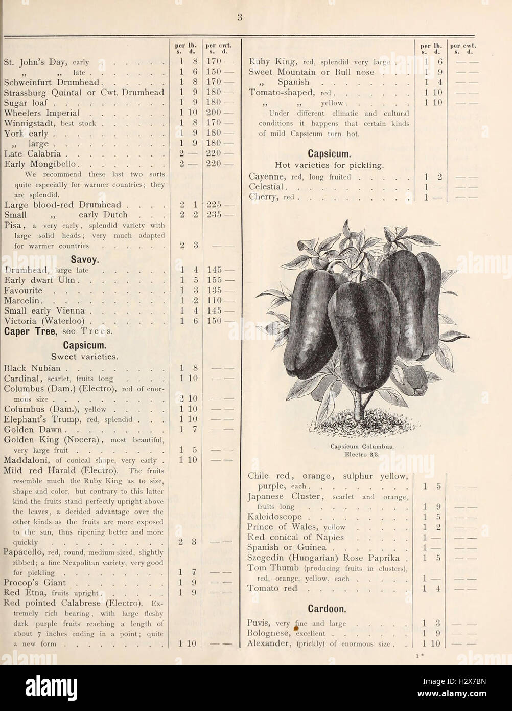 Tree seeds map hi-res stock photography and images - Alamy