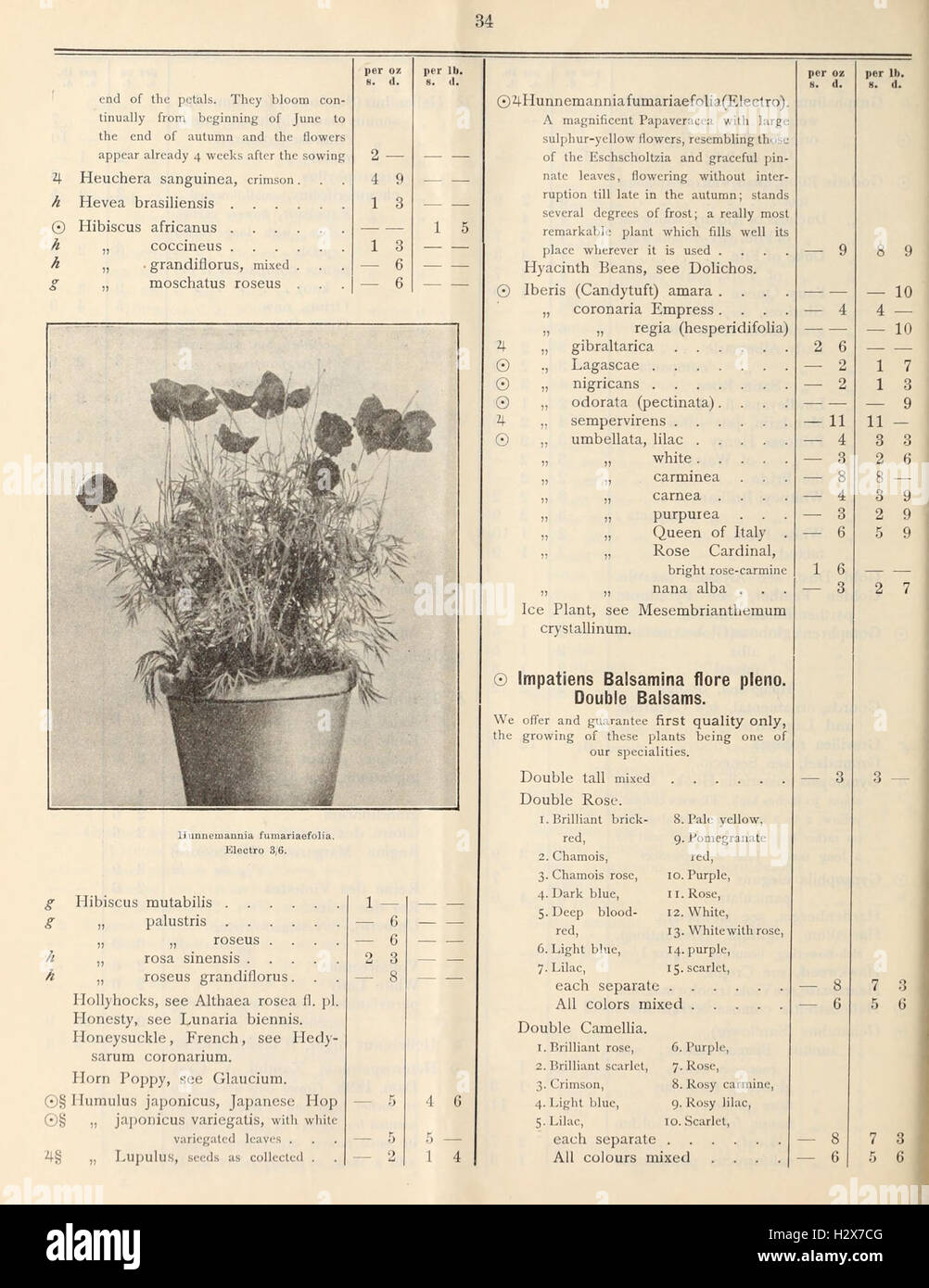 Tree seeds map hi-res stock photography and images - Alamy