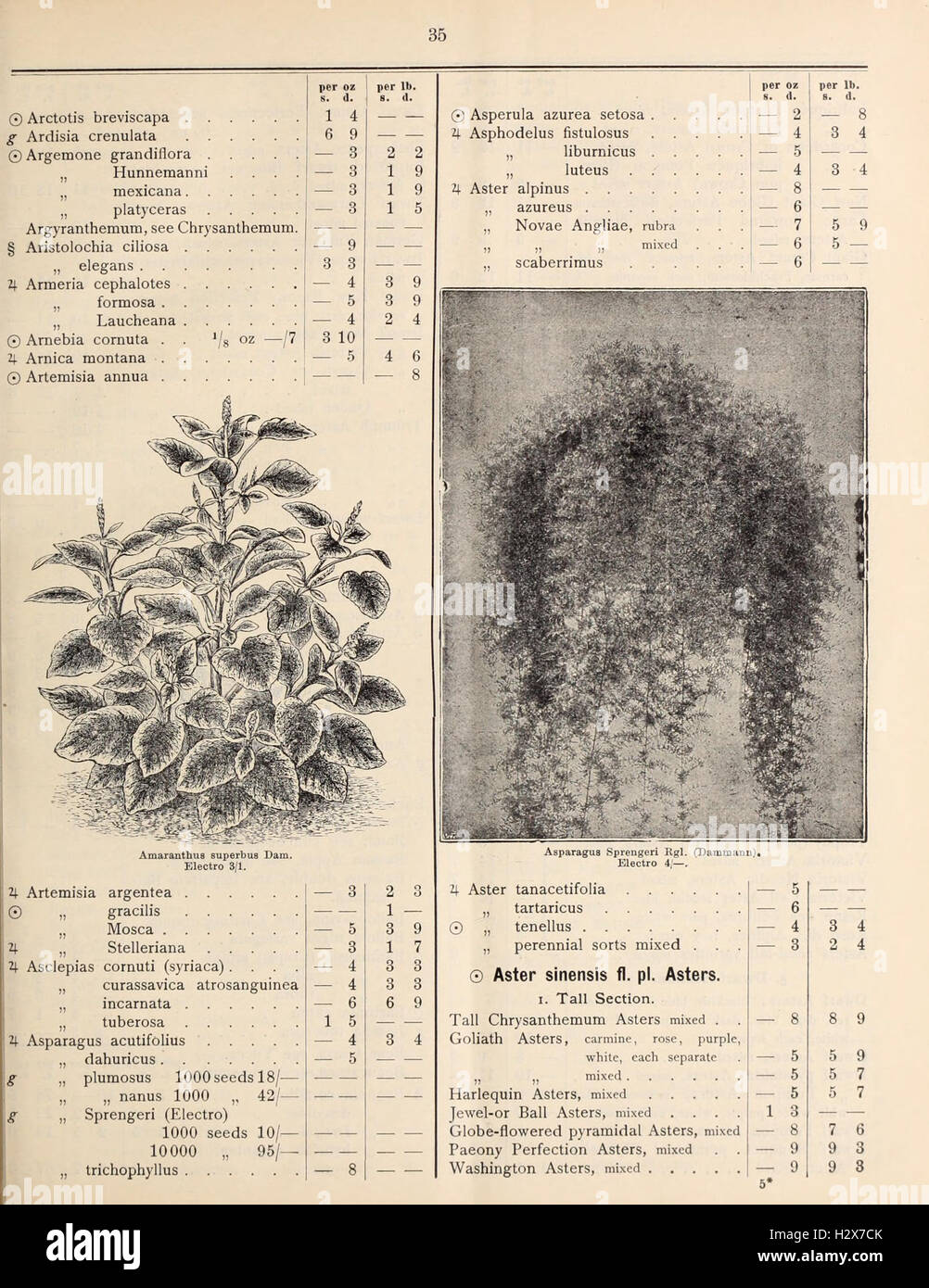 A comprehensive price list of seeds and plants, including vegetables ...