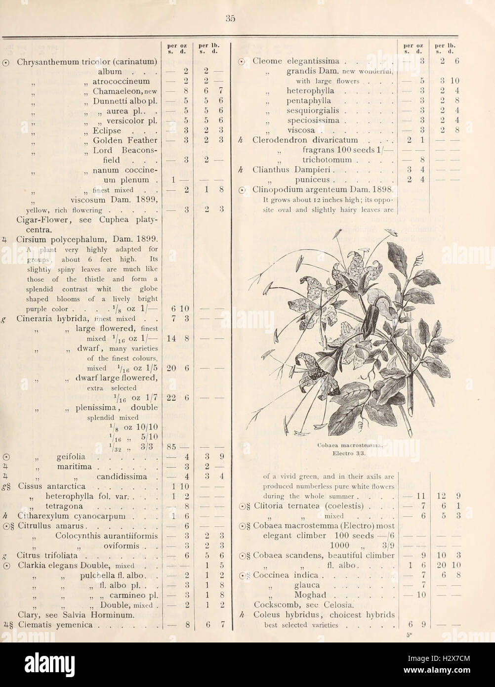 This catalog offers a detailed list of various seeds, plants, and tree ...