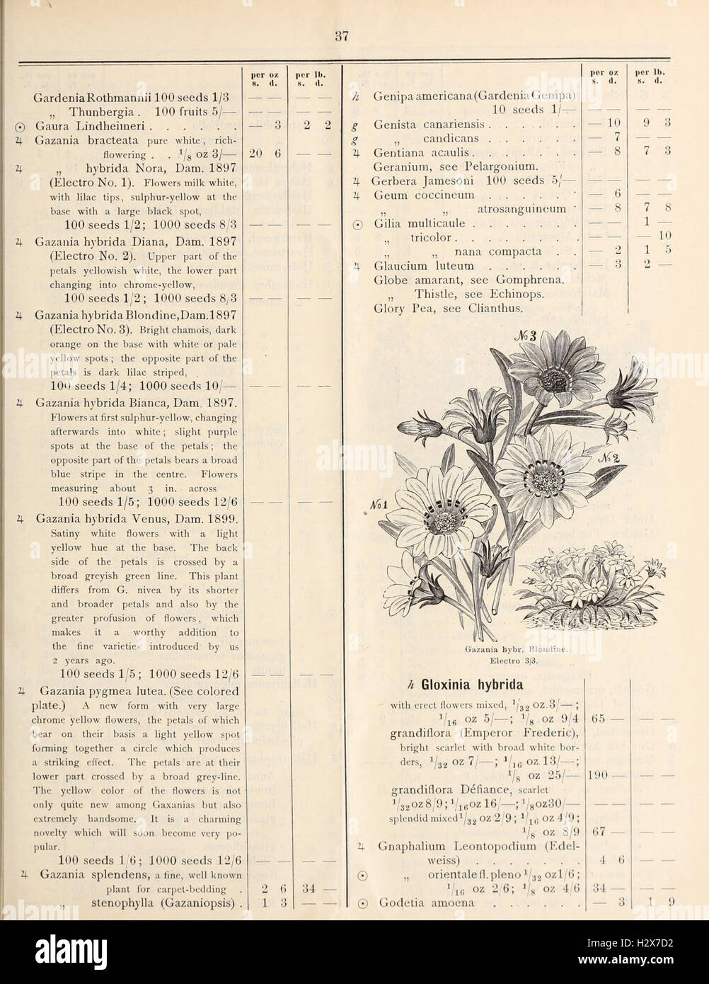 This price list outlines various seeds, including vegetables, trees ...