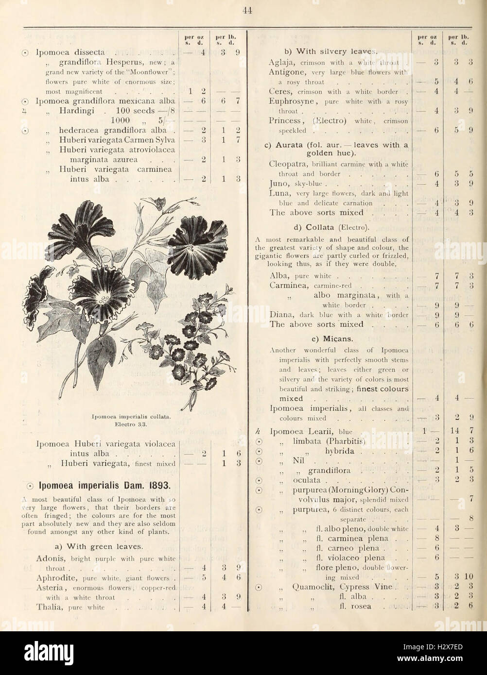 This general price list includes a range of seeds and plants for ...