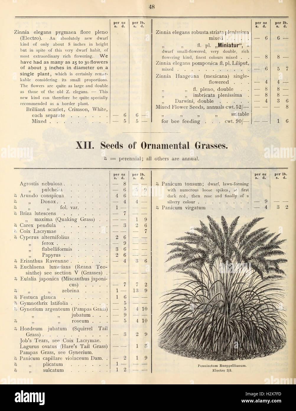 General price list of vegetable, farm, tree, conifer, palm, flower and ...