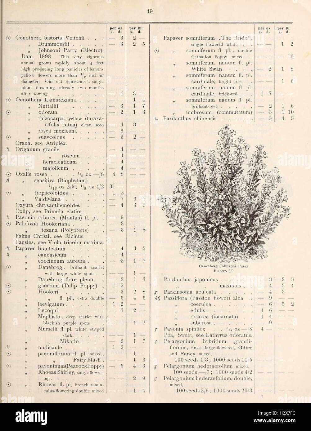This price list offers a detailed catalog of various plant species and ...