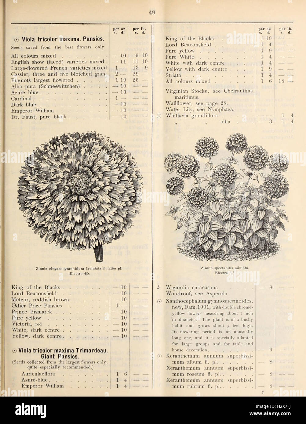 Page 49 of the general price list features various types of seeds and ...