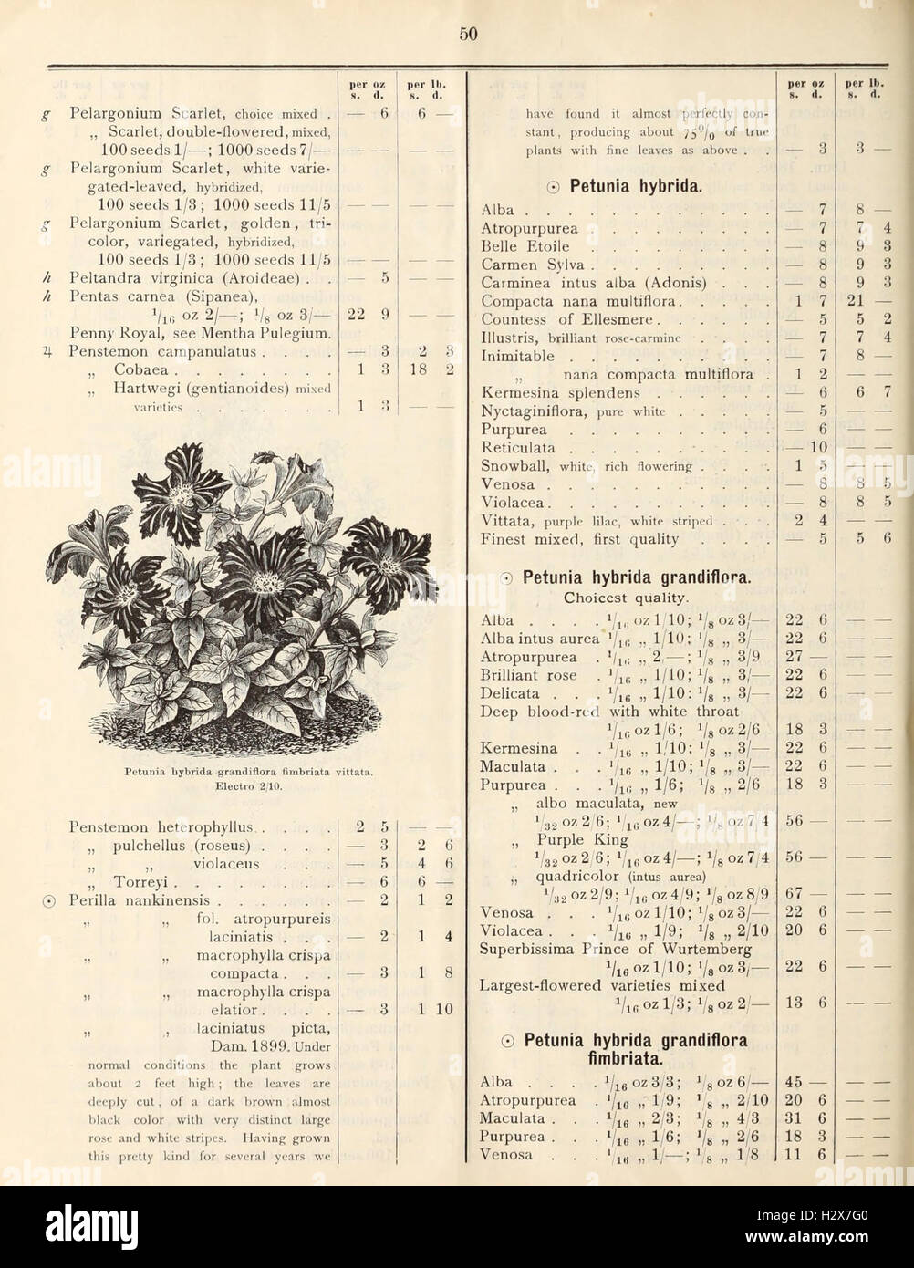 General price list of vegetable, farm, tree, conifer, palm, flower and ...