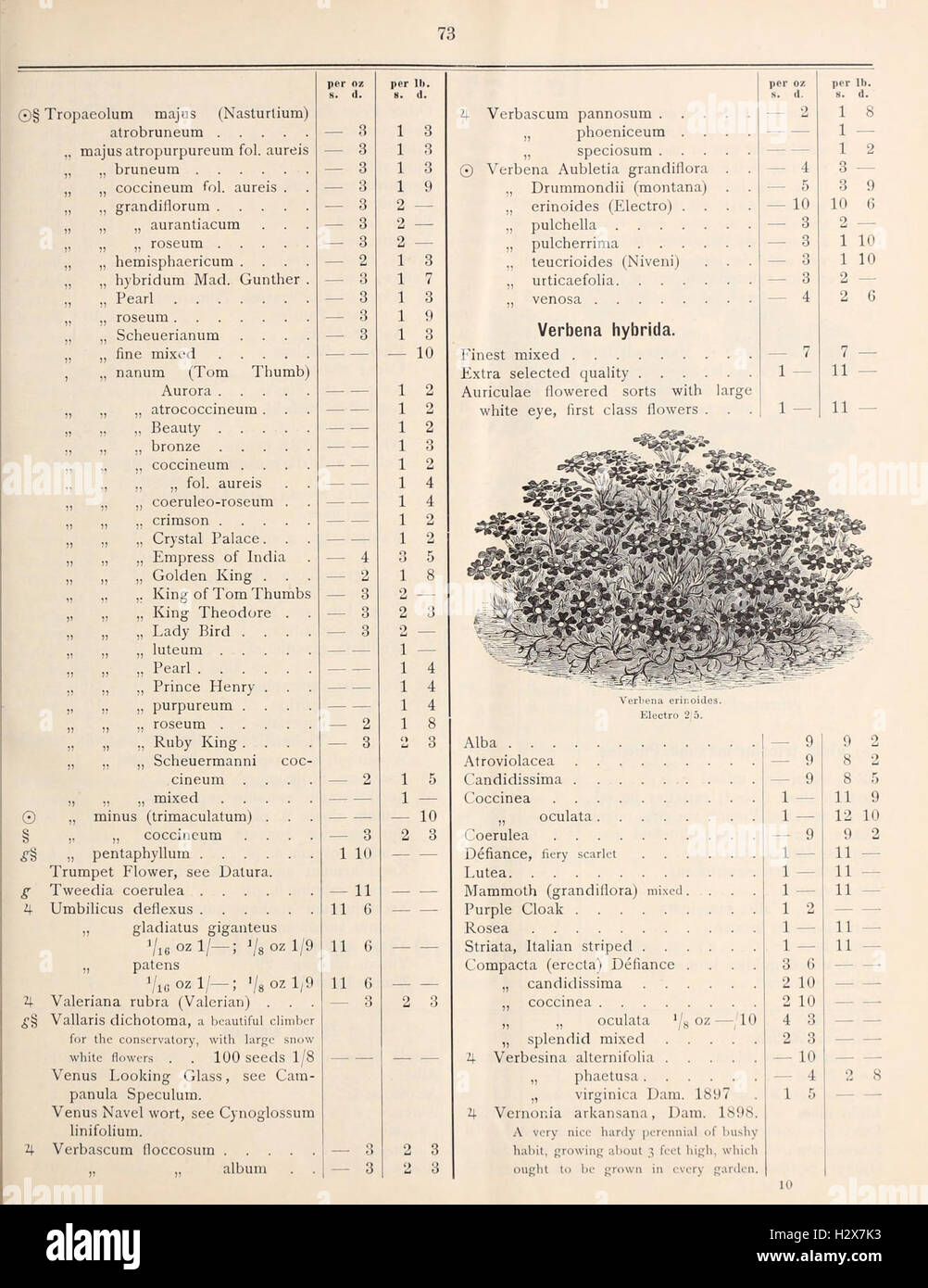 Tree seeds map hi-res stock photography and images - Alamy