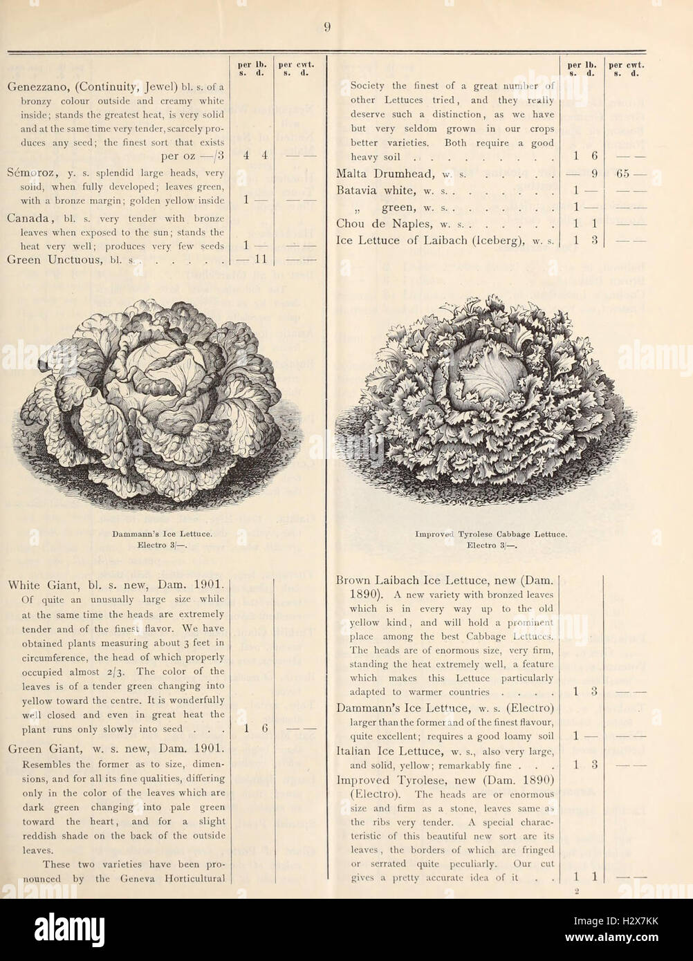 This catalog provides a comprehensive list of various seeds, including ...