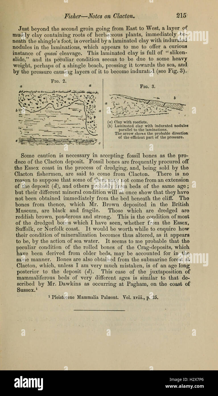 The 'Geological Magazine' provides scientific insights into geology ...