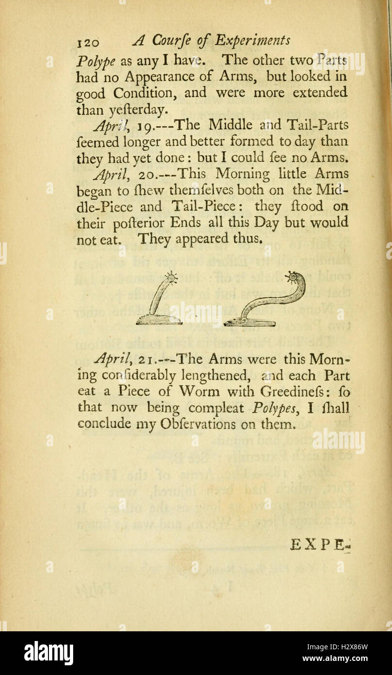 An early natural history exploration of polyps, examining their biology ...